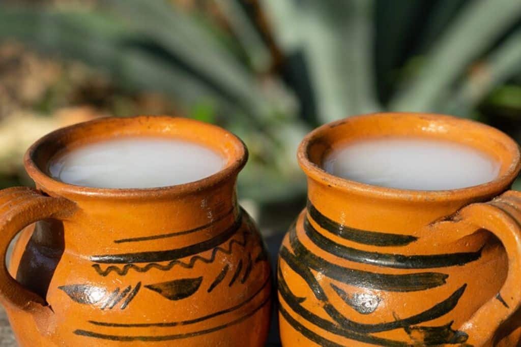 Qué tan saludable es tomar pulque – El Momento Chiapas