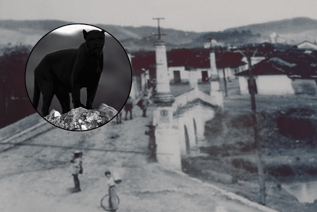 Leyenda Urbana: La trenzuda de San Cristóbal de las Casas – El Momento ...