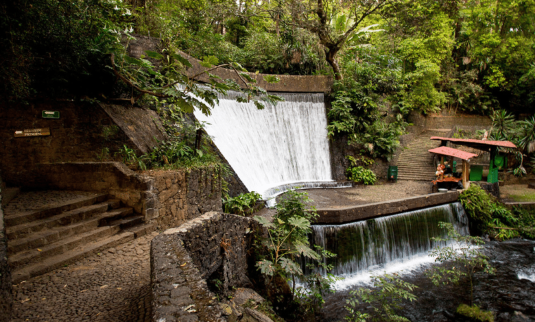 El Parque Nacional de Uruapan: un santuario natural en el corazón de ...